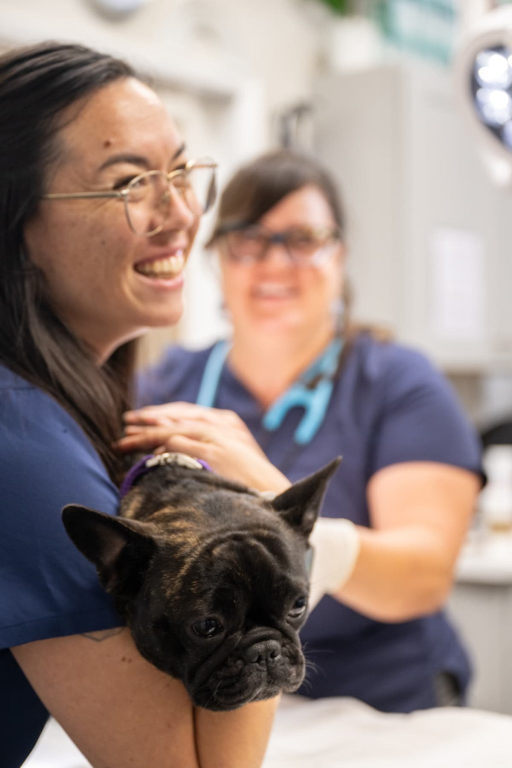 Physical Therapy in Santa Cruz & Scotts Valley | Coast Veterinary Services